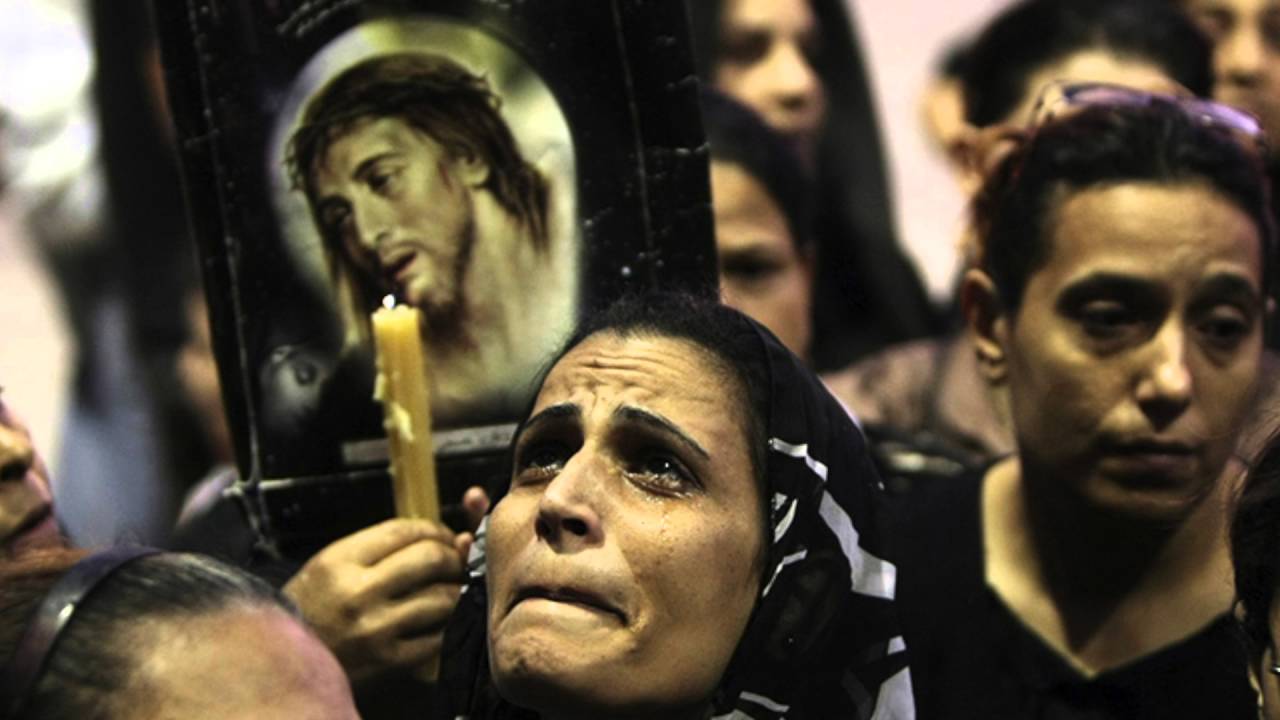 Video 1 The Plight - YouTube