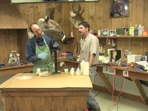 Mounting a Standing Goose - YouTube