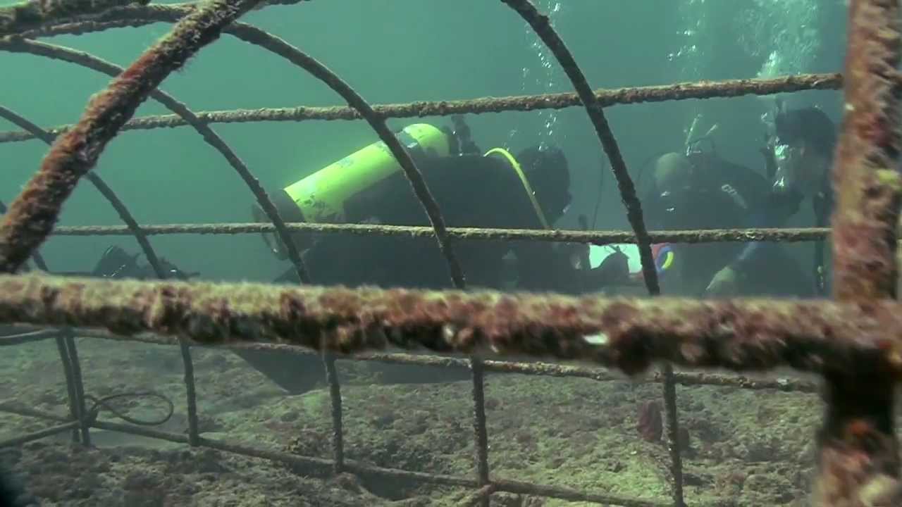 Allen Sherrod setting new underwater world record.mov - YouTube