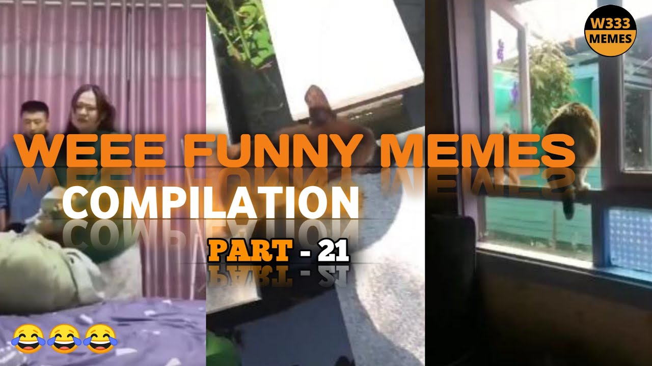 me voy a matar Wee | The Trending Meme: Chicken, Dogs and Fails | Weee ...