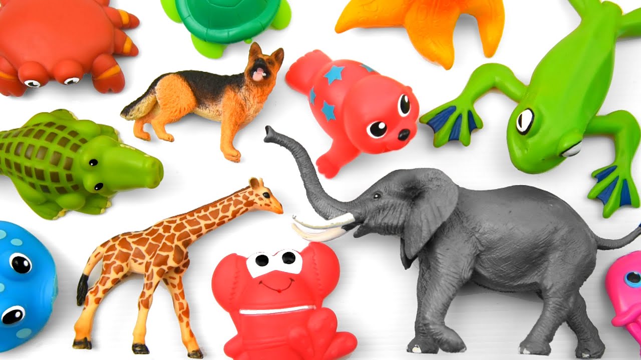 Wild Animals and Farm Animals Slide Into A Pool! Learn Animal Names For ...