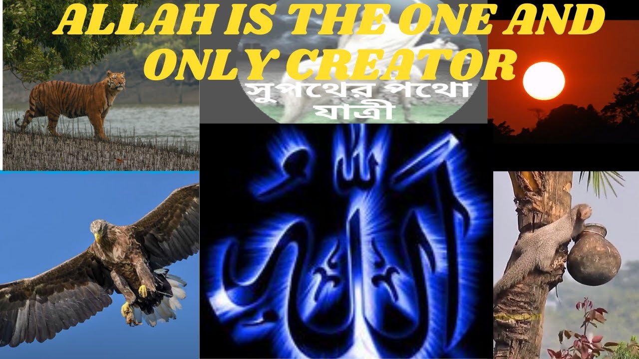 Allah is the Only Creator. Beautiful Nature and Animals is a Gift of ...
