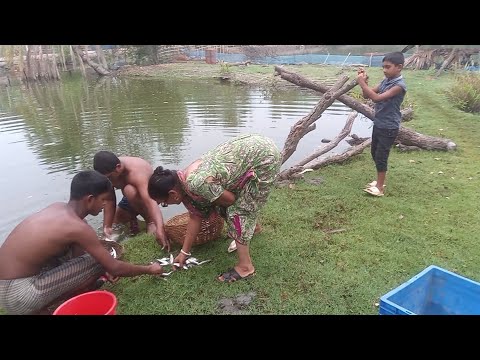 beautiful girl fishing amazon best video 2023.