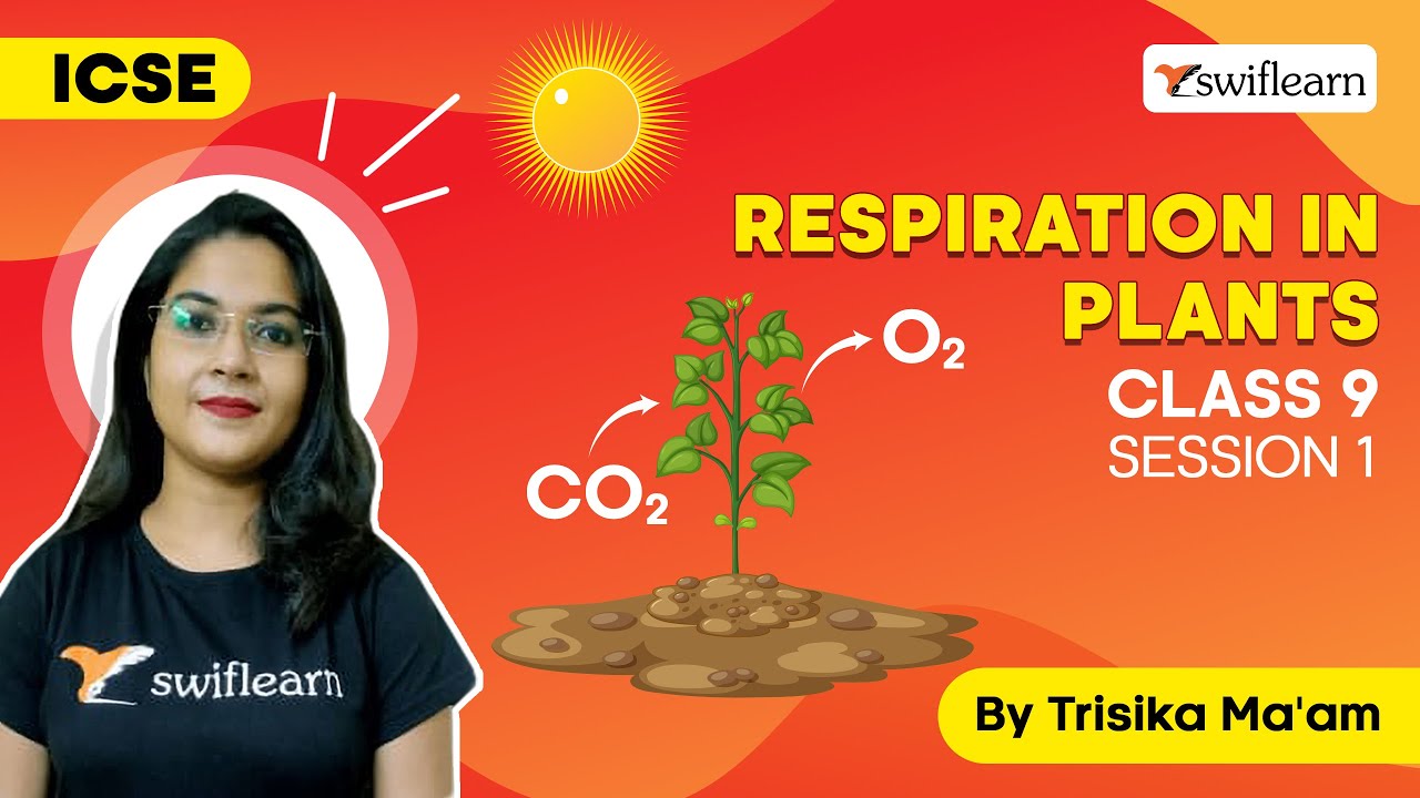 Respiration In Plants| Aerobic and Anaerobic Respiration | ICSE Class 9 ...
