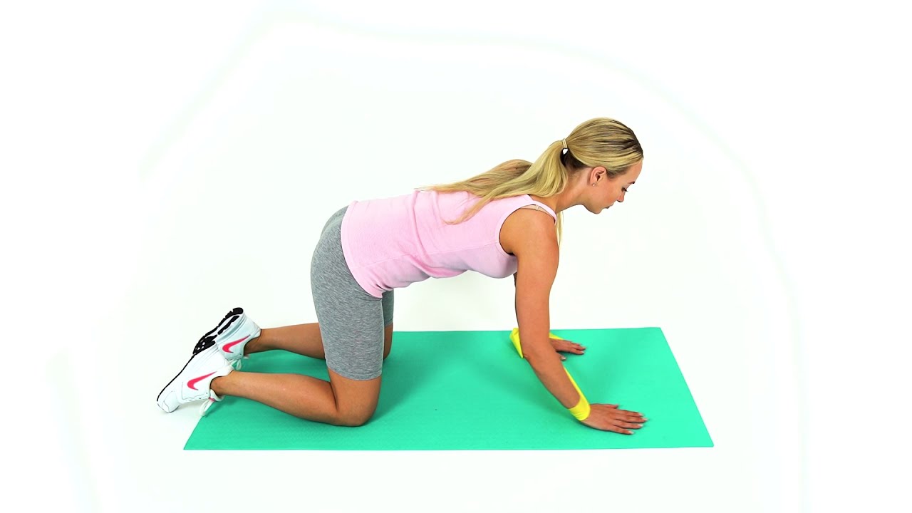 Four Point Kneeling Bird Dog Hand Slide - YouTube