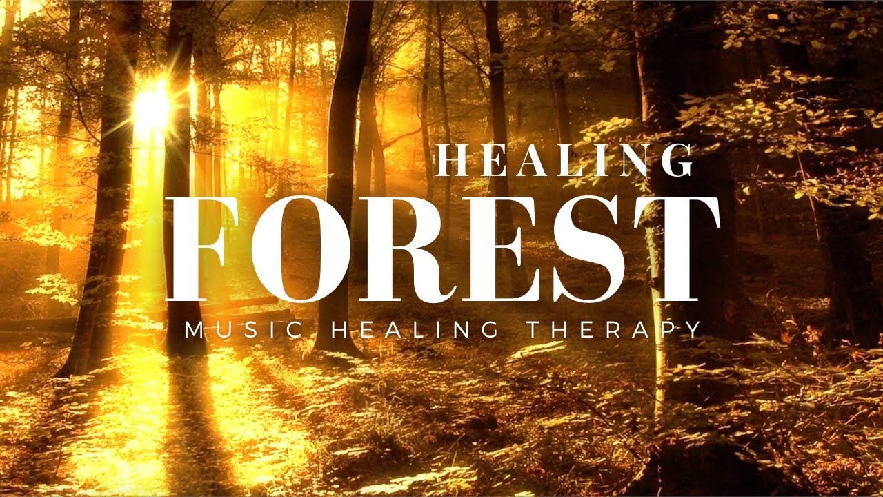 sleep music that calms the mind, healing music, meditation music ...
