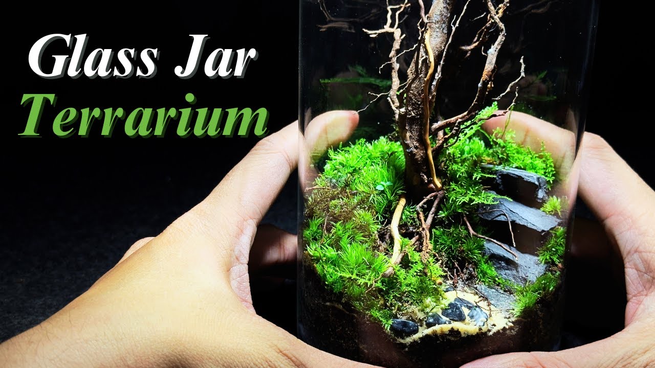How To Make a ECOSYSTEM Inside a Glass Jar! 10 ESSENTIAL Terrarium tips ...