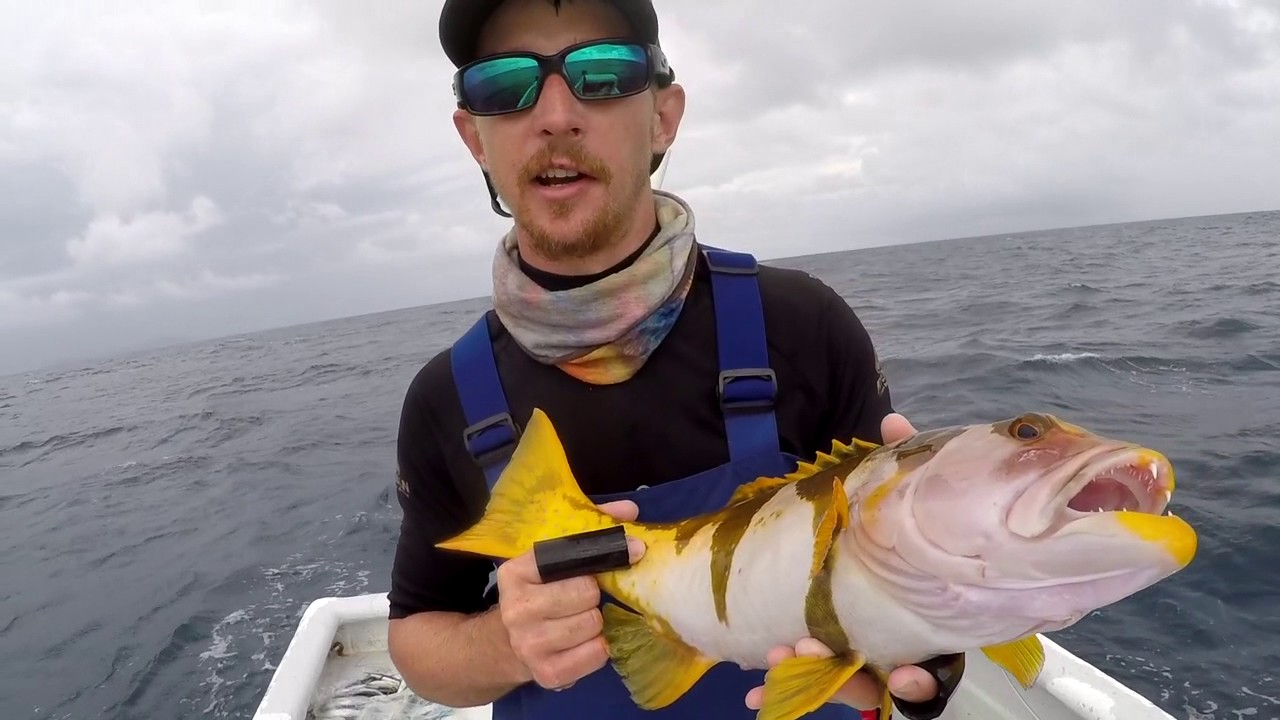 Fishing for coral trout Ep1 day 2 - YouTube