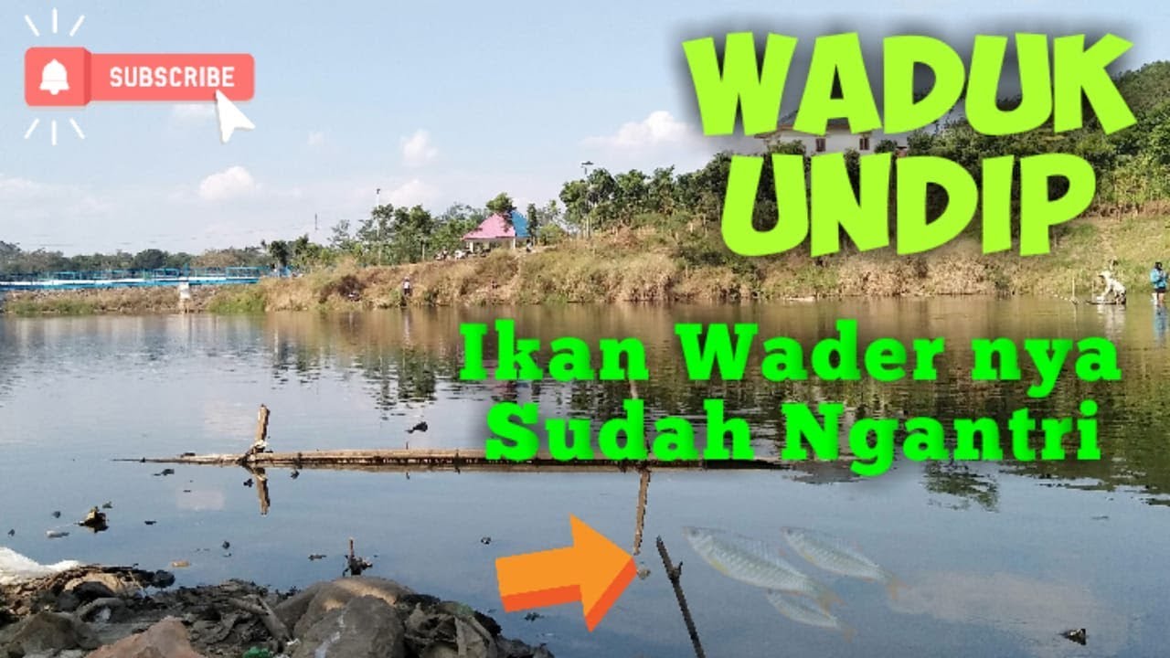 Mancing Wader di Waduk UNDIP - YouTube