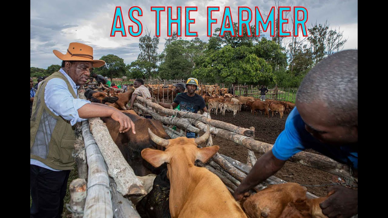 THE PRESIDENT TOURING HIS FARM AT THE YEAR END | HH - YouTube