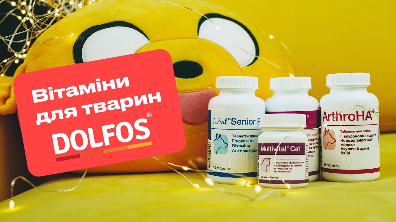 Вітамінні добавки DOLFOS для котів та собак - YouTube