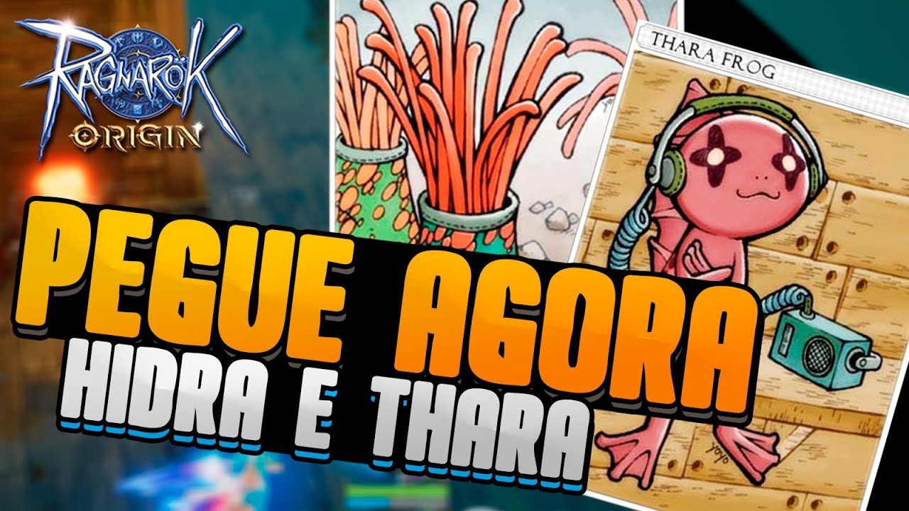 MELHOR FORMA DE PEGAR SUA CARTA HIDRA E THARA | RAGNAROK ORIGIN ROO ...