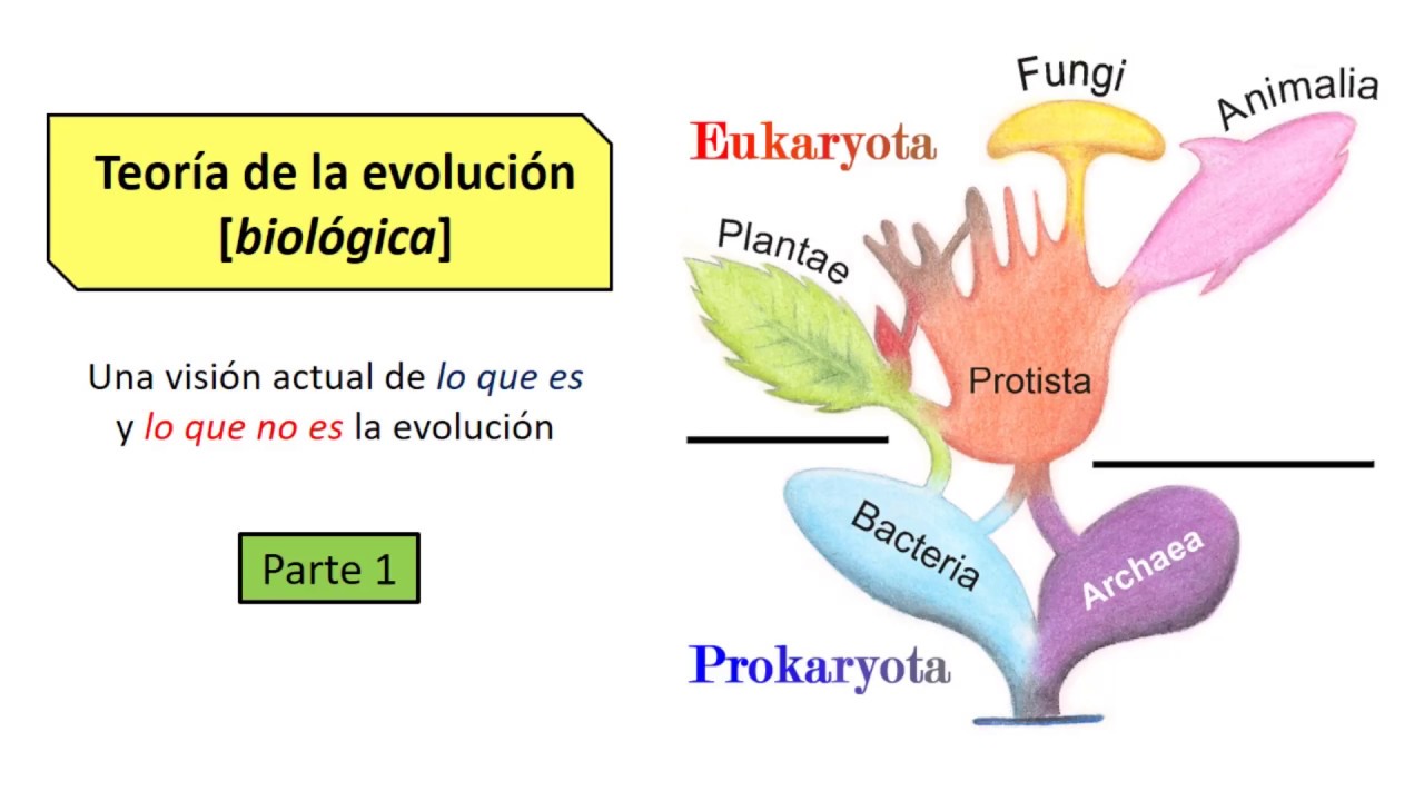 Teoría de la Evolución I | BiologíaXXI - YouTube
