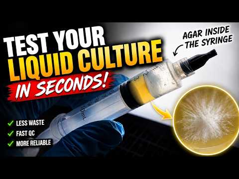 Stop Wasting Agar Plates Testing Mushroom Liquid Culture 