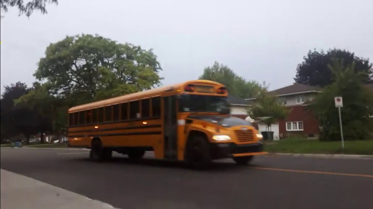 AM Buses September 23rd - YouTube