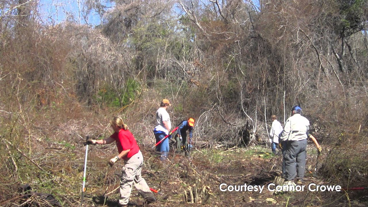 2014 TEEA Winner Youth Category: Connor Crowe - YouTube