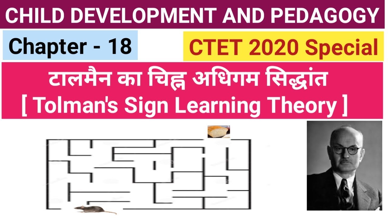 CDP : Tolman's Sign Learning Theory - YouTube