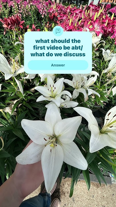 what should we talk about? - YouTube