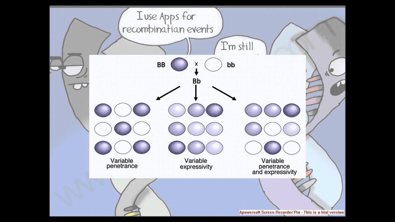 Penetrance and Expressivity 8 - YouTube