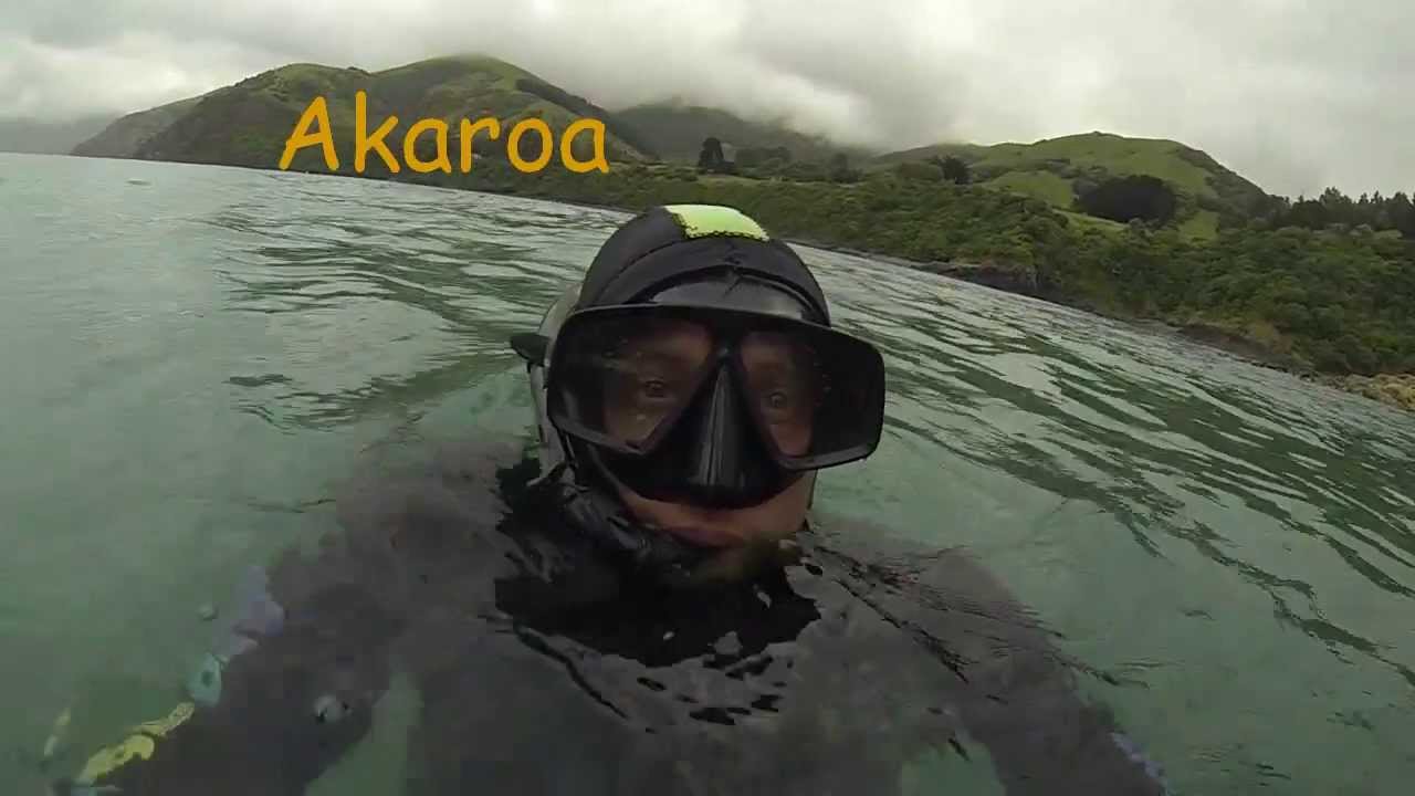 Akaroa dive 2013 - YouTube
