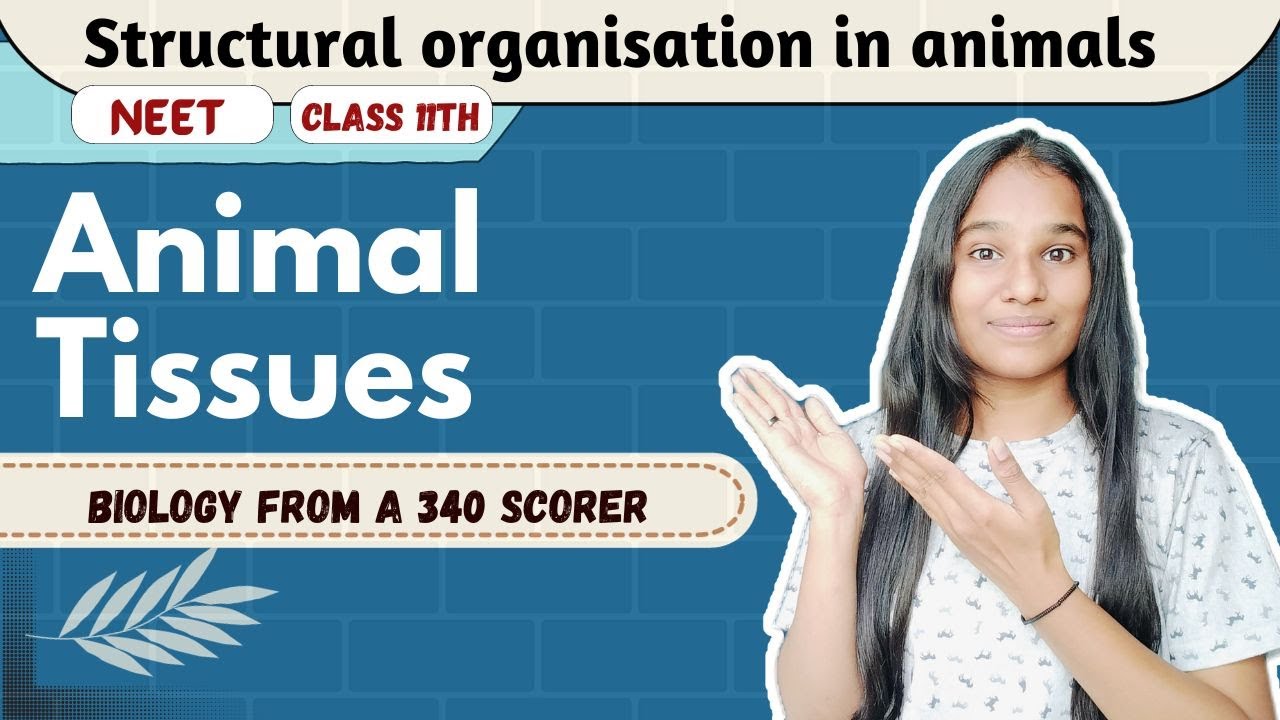 Animal tissues | NCERT | Structural organization in animals | Class ...