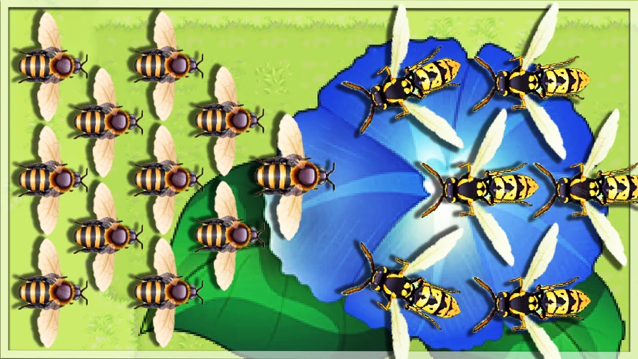 When You Trade Queen Ants For QUEEN BEES This Happens | Pocket Bees ...