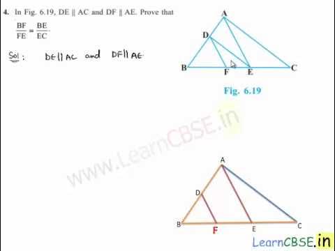 Basic Proportionality Theorem | Applications of BPT | Triangle Proportionality theorem Class 10 ...