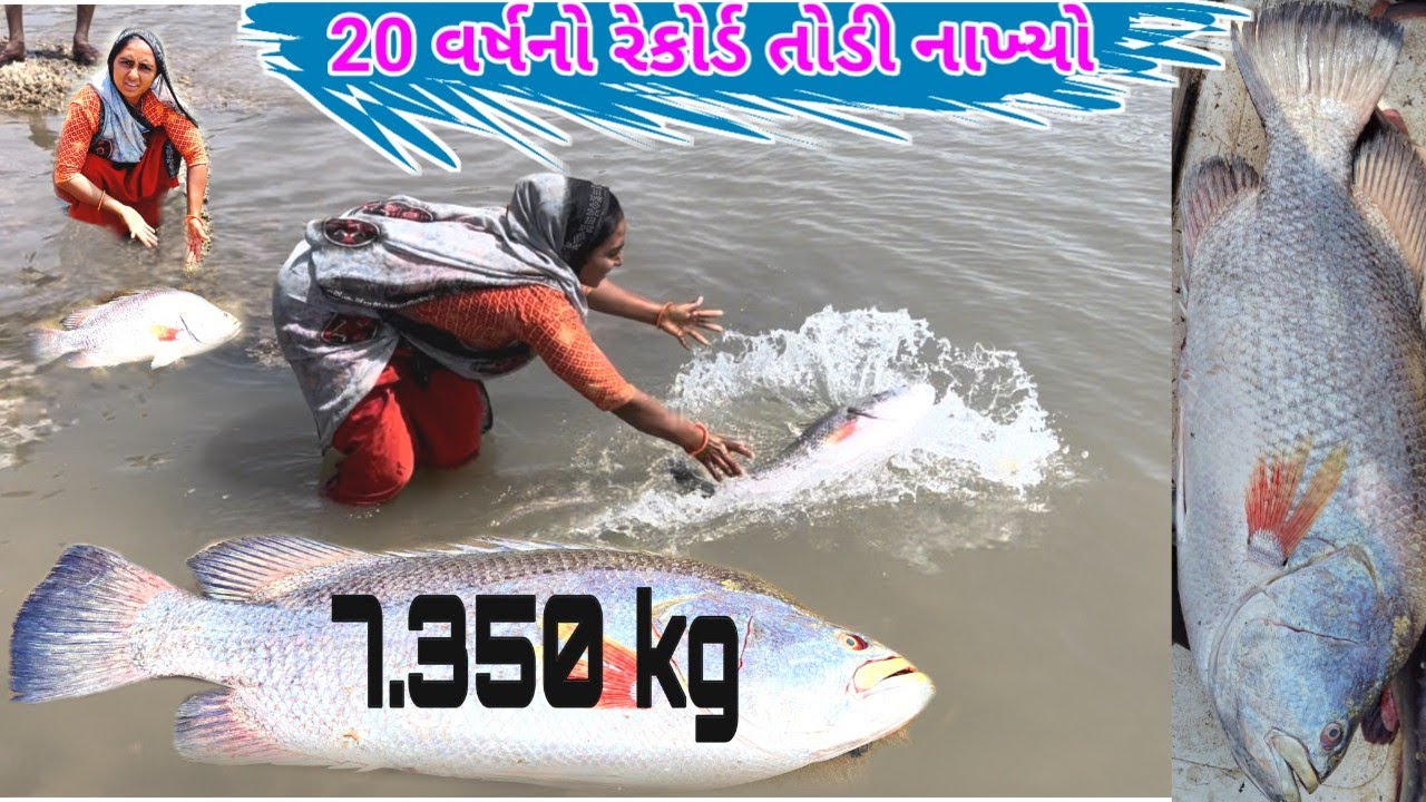 મોટુ માછલુ પકડયુ 🐟🐠 Aj to Badi fish pakdi 🐟🐋🐋 - YouTube