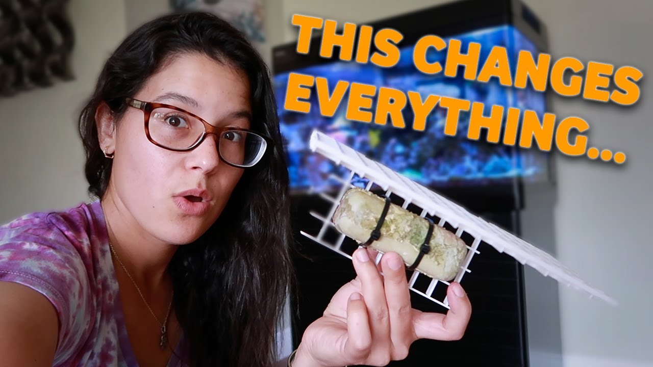 Making a DIY Frag Rack *cheap* - YouTube