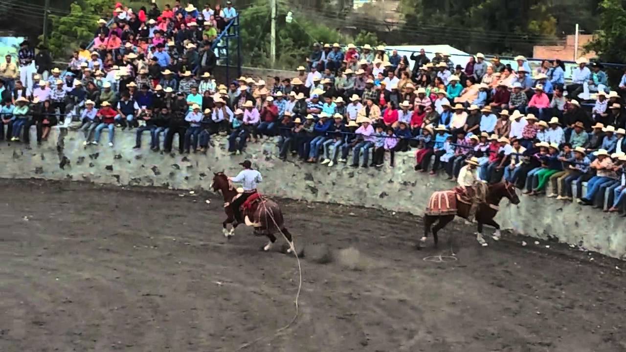El Jicote de chava lemuz en Caracheo - YouTube