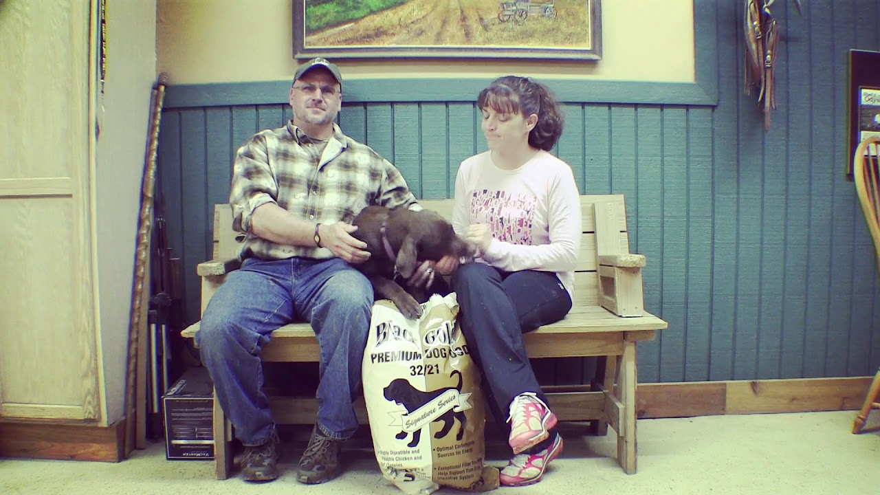 Antler Dogs Bella Norman and Rusty Henderson - YouTube