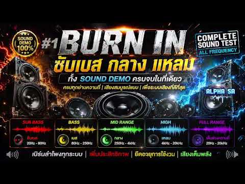 Burn In | Sound test | Sound demo | เบิร์นดอกลำโพง ซาวด์เช็ค #burning  #เบิร์นลำโพง #ซาวด์เช็ค 