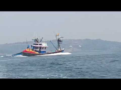 Ratnagiri Full Fishing | Tarli Fish Full Loaded Boat | 1800 BOXES Fish