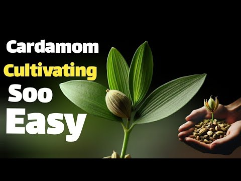 "From Seed to Harvest: The Ultimate Guide to Growing and Cultivating ...