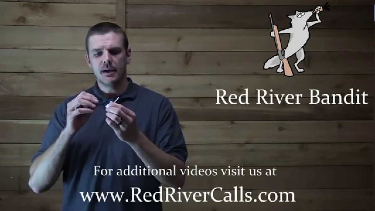 How to Call with the Red River Bandit open reed predator call - YouTube
