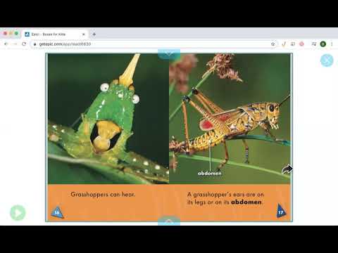 Grasshopper - YouTube