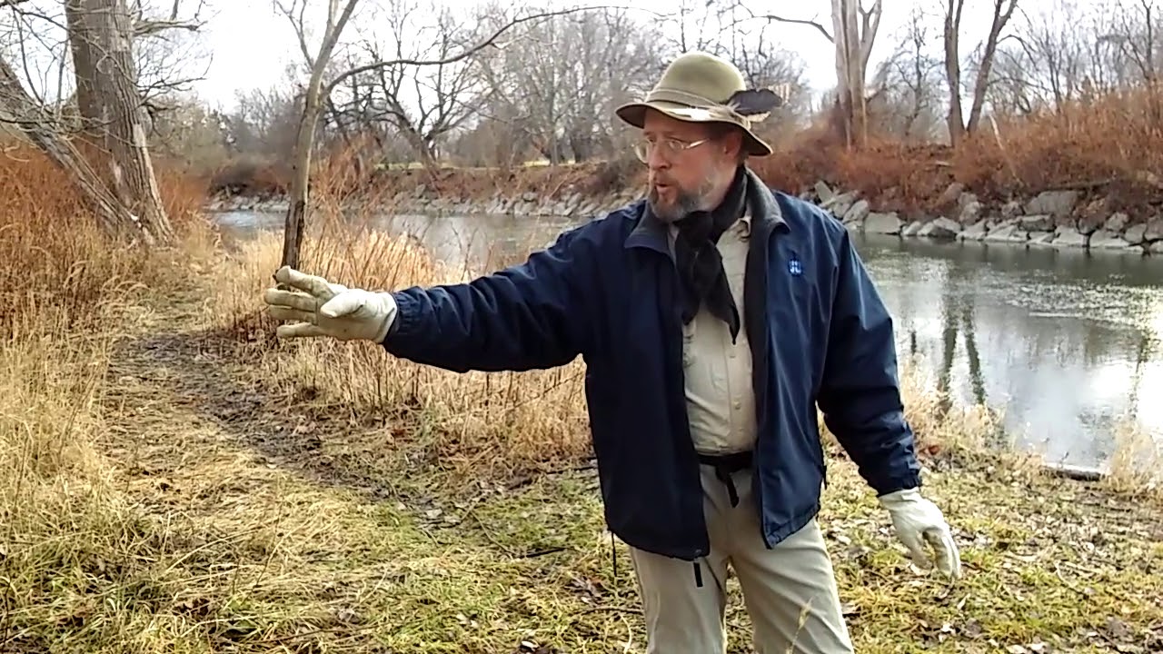 Building An Emergency Bough Bed - YouTube