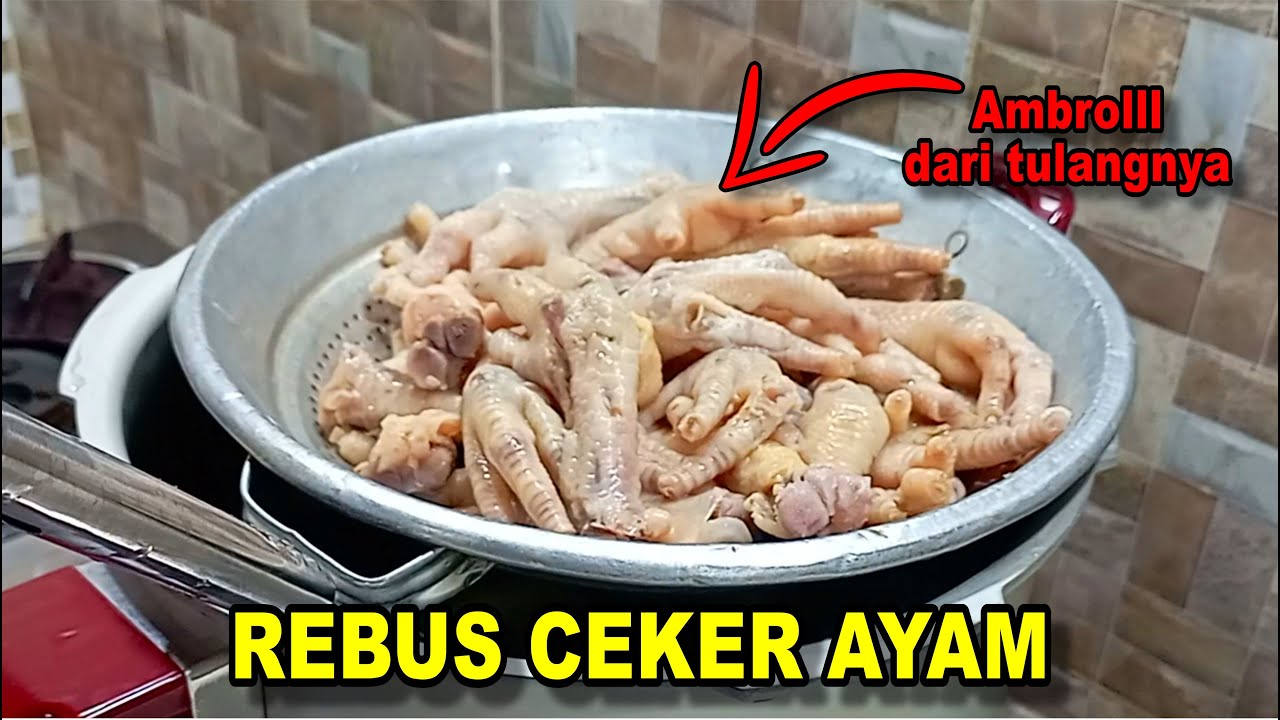TIPS REBUS CEKER AYAM PRESTO | BUAT CEKER MERCON - YouTube
