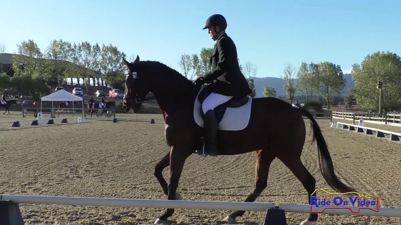 078D Matthew Walley on Steamer Lane SR Training Championships Dressage ...