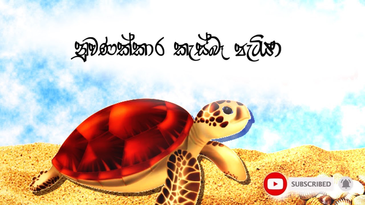 නුවණක්කාර කැස්බෑ පැටියා (The Little Clever Turtle) - YouTube