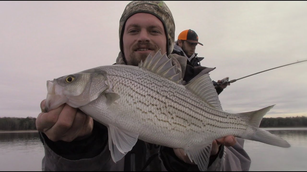 Percy Priest Winter 2019 Fishing(100+fish) - YouTube