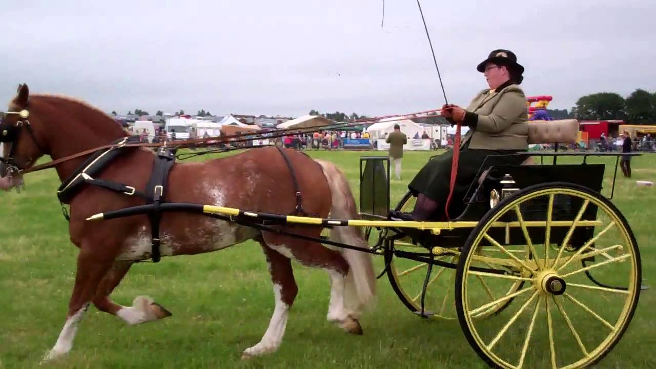 Horse And Carriage Agricultural Show Kirriemuir Angus Scotland - YouTube