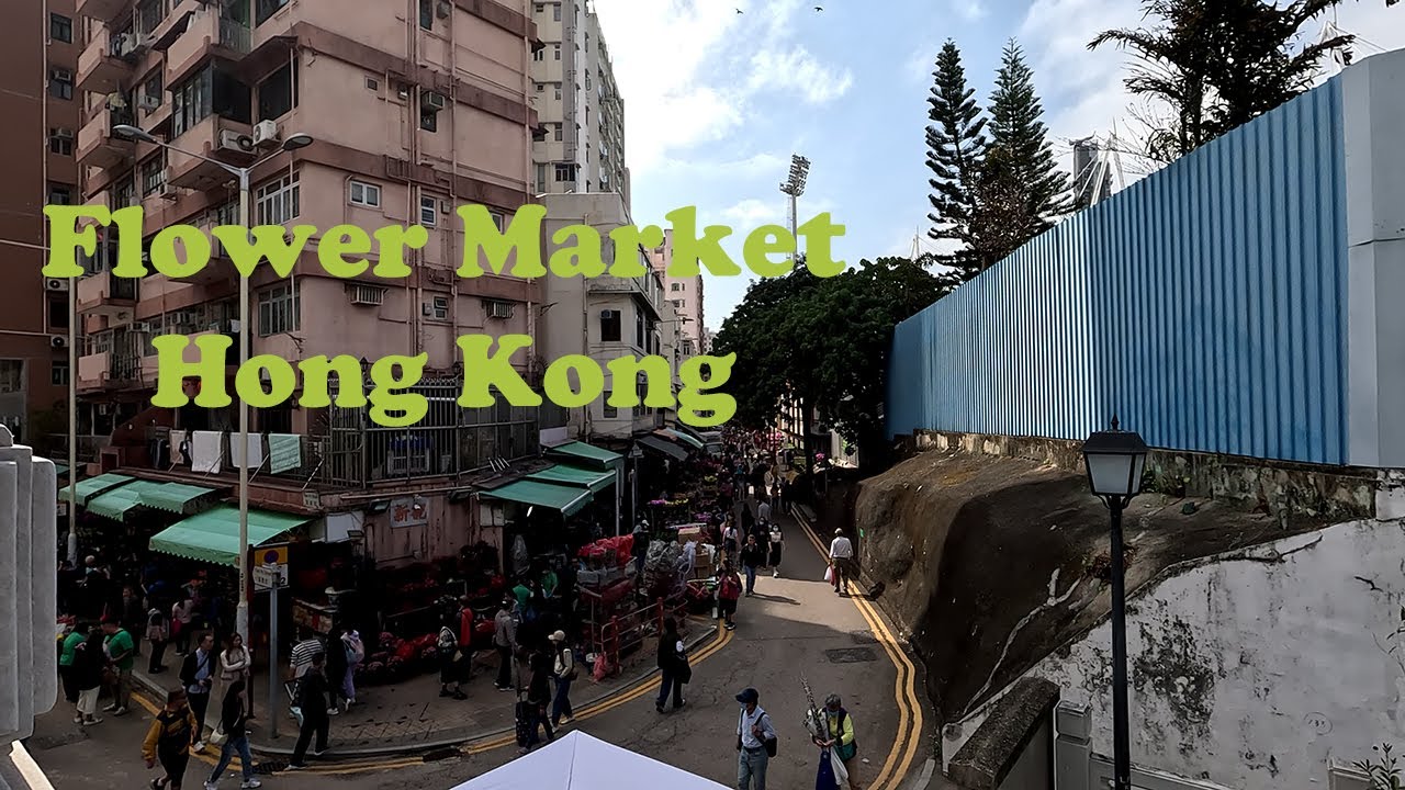 FLOWER MARKET WALKING TOUR, PRINCE EDWARD HONG KONG STREET TOUR - FEB ...