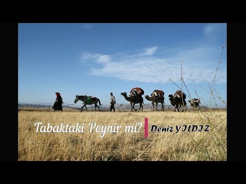 Tabaktaki Peynir mi? / Deniz YILDIZ