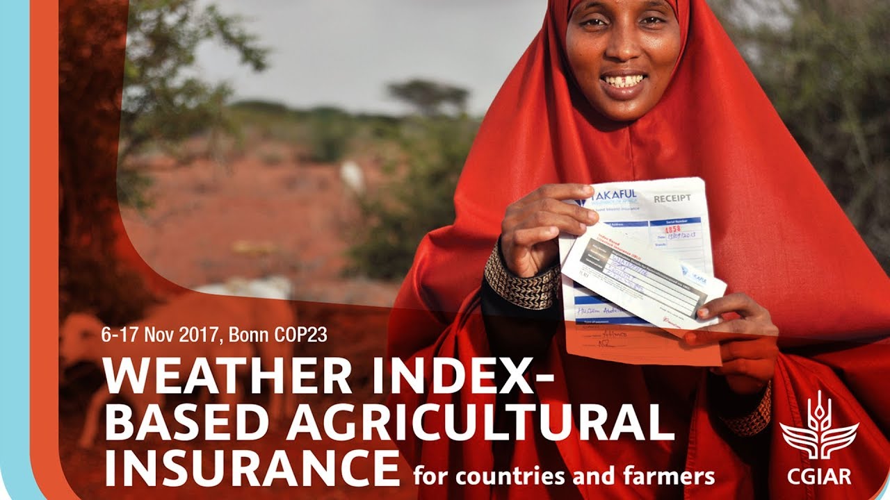 Weather index-based agricultural insurance for countries and farmers ...
