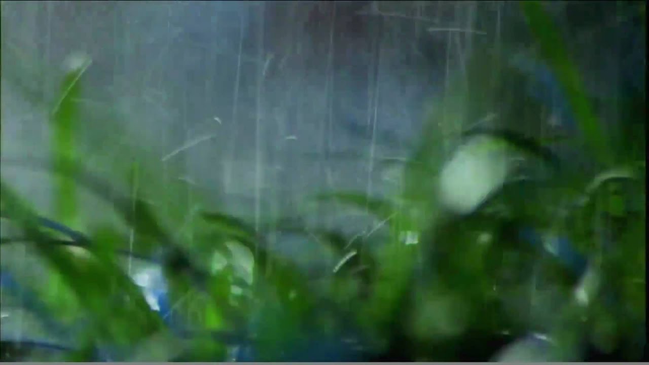 The Weather Channel |HD| Ad 5 - YouTube