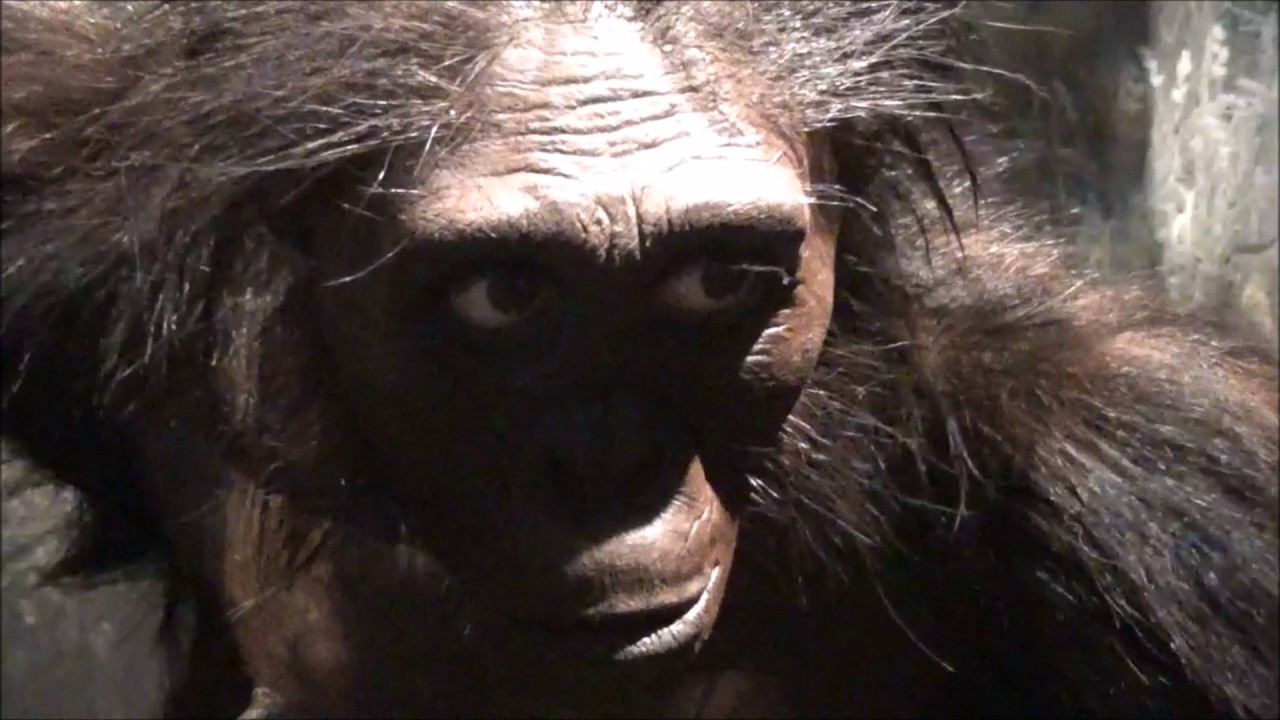 Monkey Monsters and Skeletons - Smithsonian Museum of Natural History ...