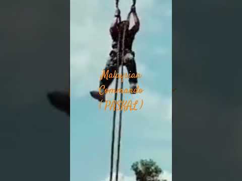 Malaysian Commando / PASKAL / PANGLIMA HITAM / MALAYSIAN ARMY - YouTube