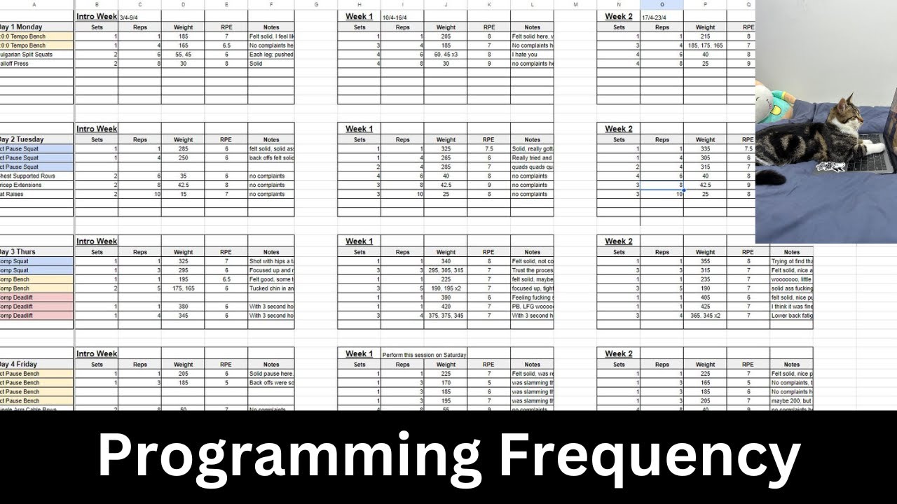 Powerlifting Programming || Decision Making Around Frequency - YouTube