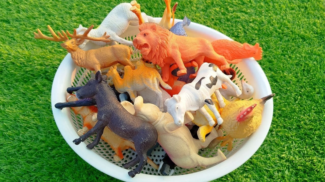 sea animals, Wild Animals Turn into Mysterious Creatures, Colorful ...